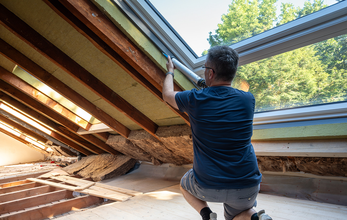 Weatherization - Ameren Illinois Energy Efficiency Program
